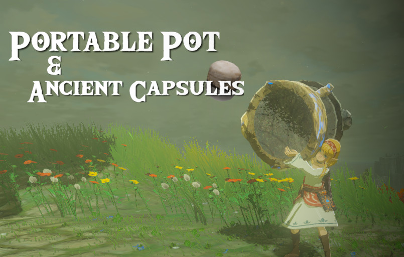 Ancient Capsules and Portable Pot Mod for The Legend of Zelda: Breath ...