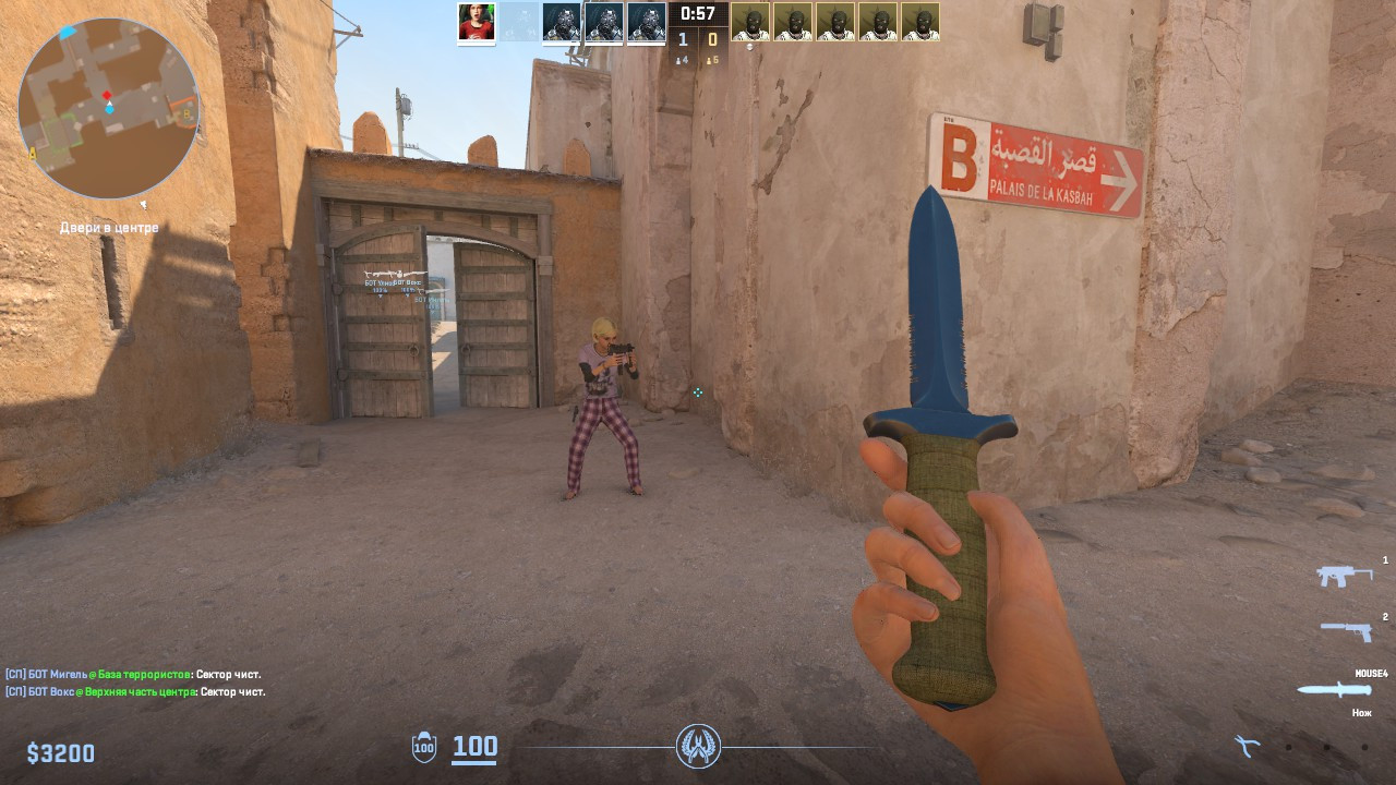 Sarah Miller | The Last of Us [CS2] Mod for Counter-Strike 2 | CS2 Mods