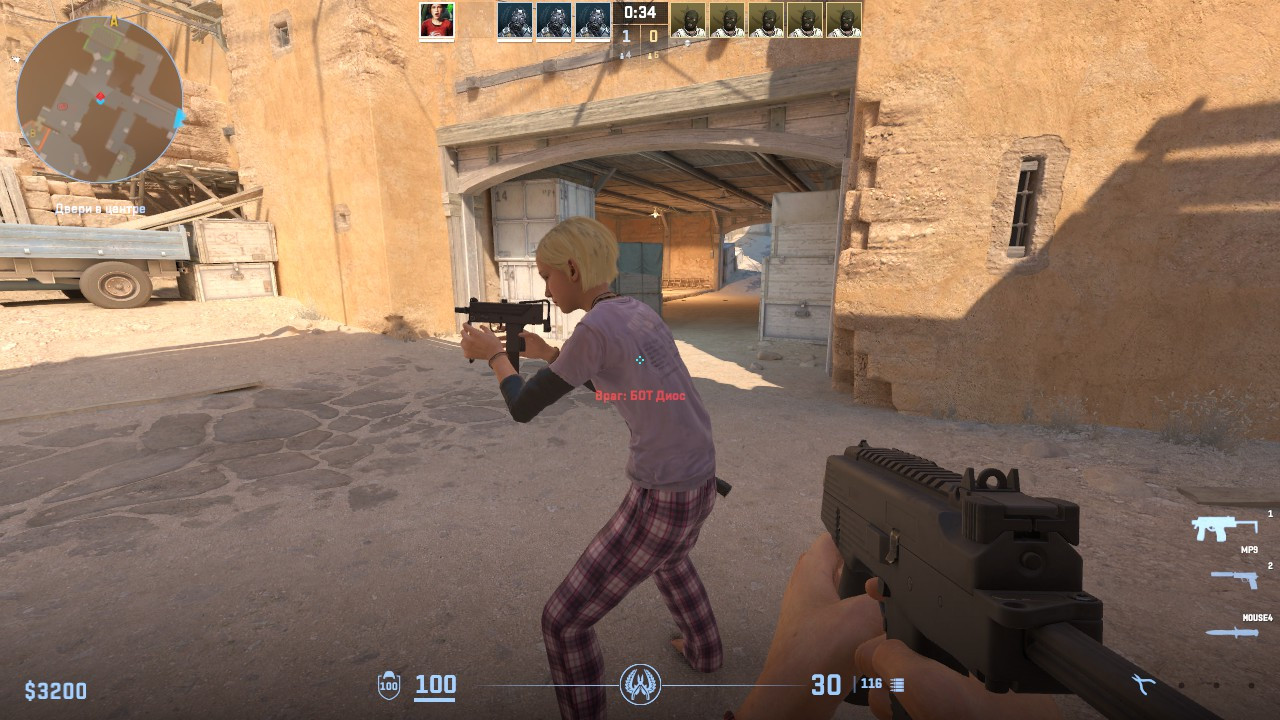 Sarah Miller | The Last of Us [CS2] Mod for Counter-Strike 2 | CS2 Mods