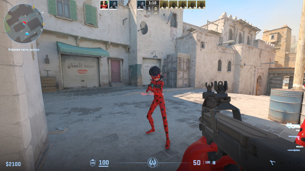 Ladybug [CS2] Mod for Counter-Strike 2 | CS2 Mods