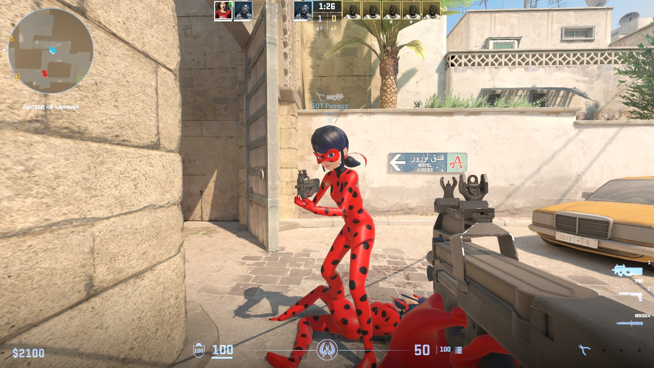 Ladybug [CS2] Mod for Counter-Strike 2 | CS2 Mods