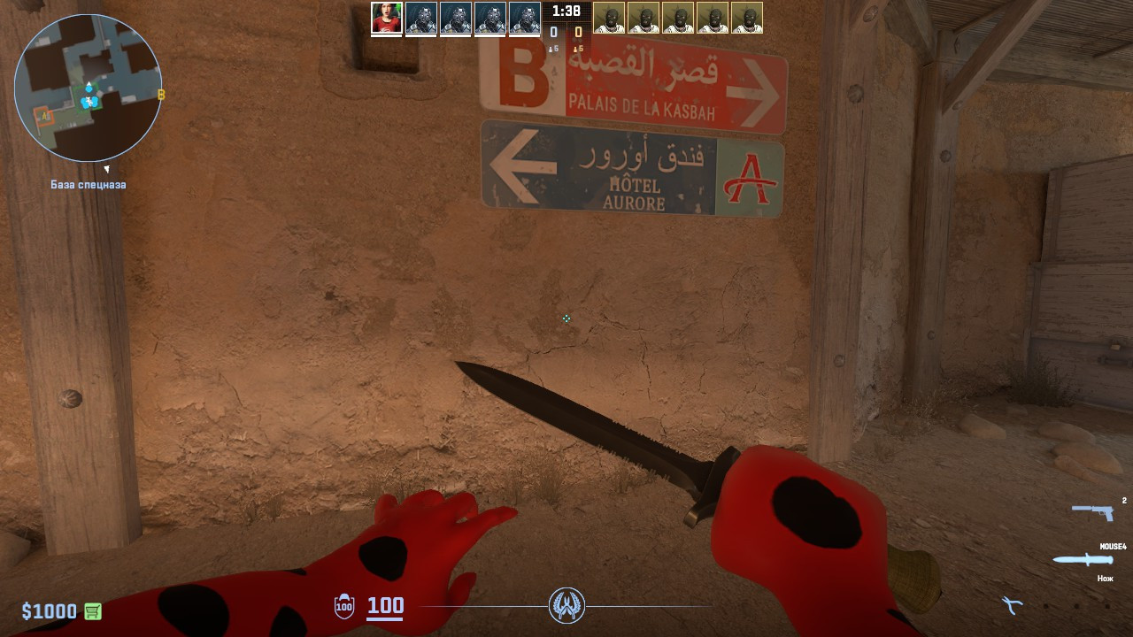 Ladybug [CS2] Mod for Counter-Strike 2 | CS2 Mods