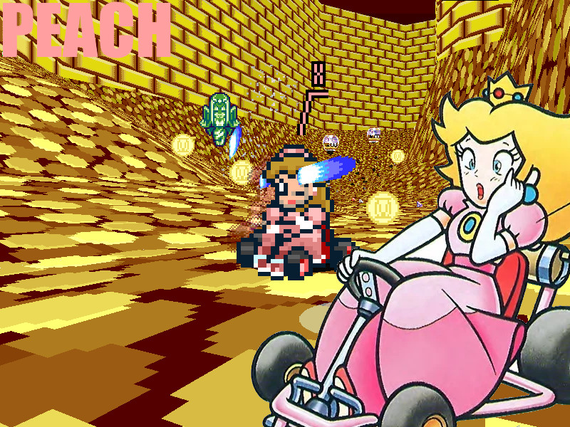 The SMK Roster in Ring Racers Mod for Dr. Robotnik's Ring Racers | DRRR ...