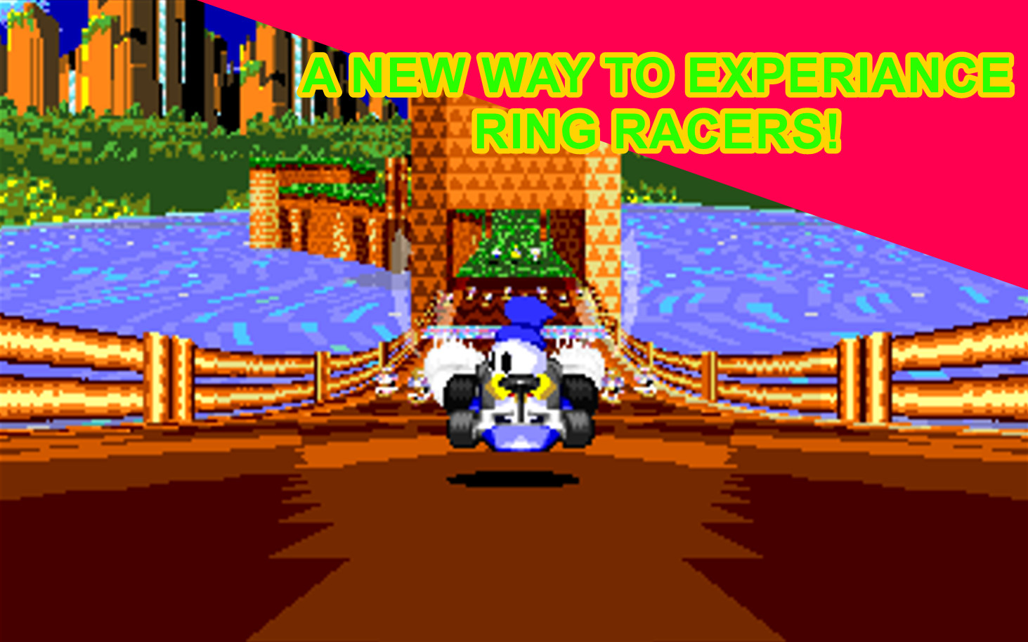 The radical gang pack! Mod for Dr. Robotnik's Ring Racers | DRRR Mods