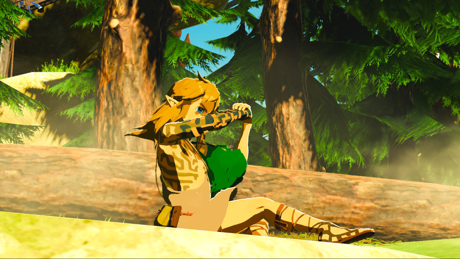 Totk Toga glow arm-switch Mod for The Legend of Zelda: Breath of the ...