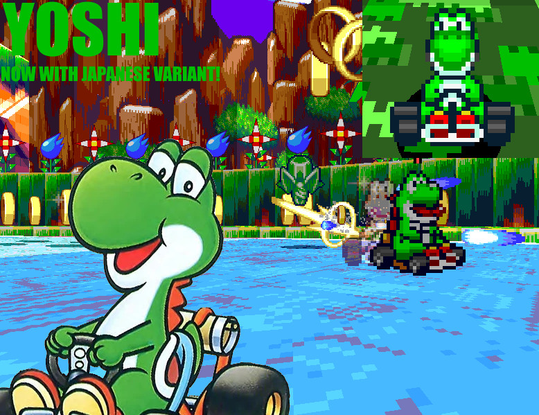 The SMK Roster in Ring Racers Mod for Dr. Robotnik's Ring Racers | DRRR ...