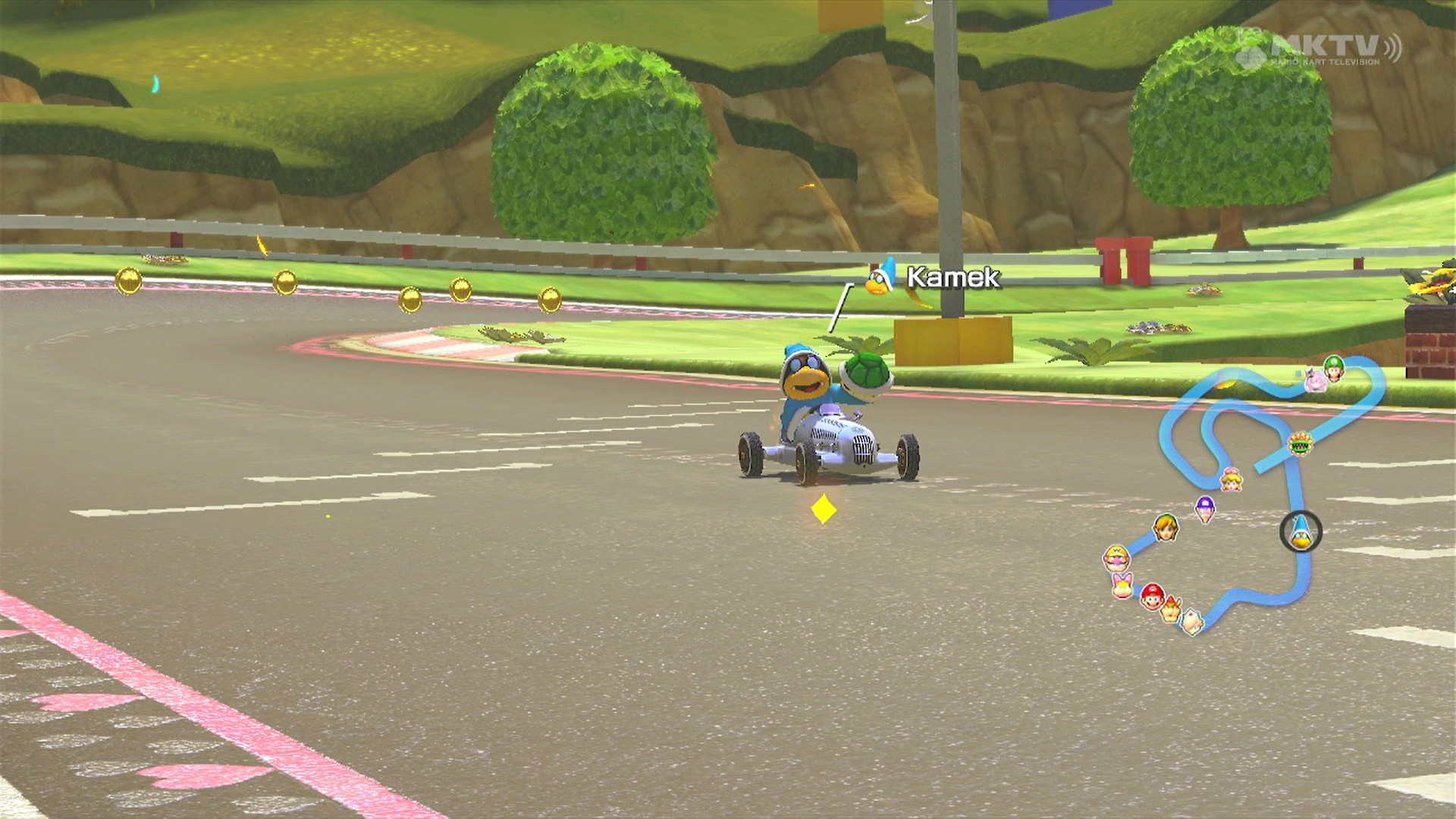 MK8DX Kamek Mod for Mario Kart 8 | MK8 Mods