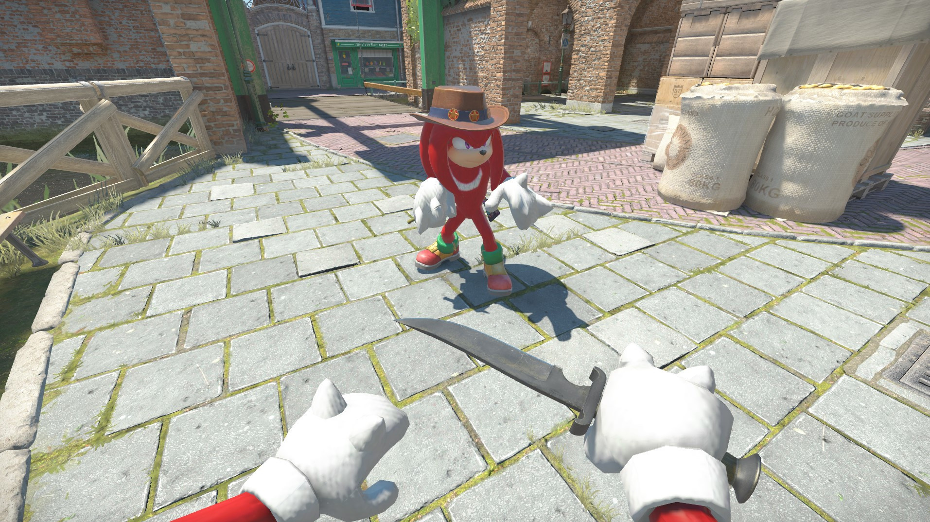 Knuckles Player Model Mod for Counter-Strike 2 | CS2 Mods