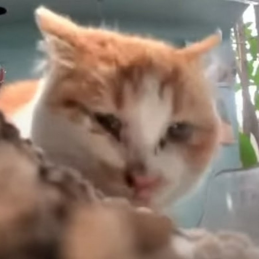 Gluttony Funkin' Mod for Friday Night Funkin' | FNF Mods