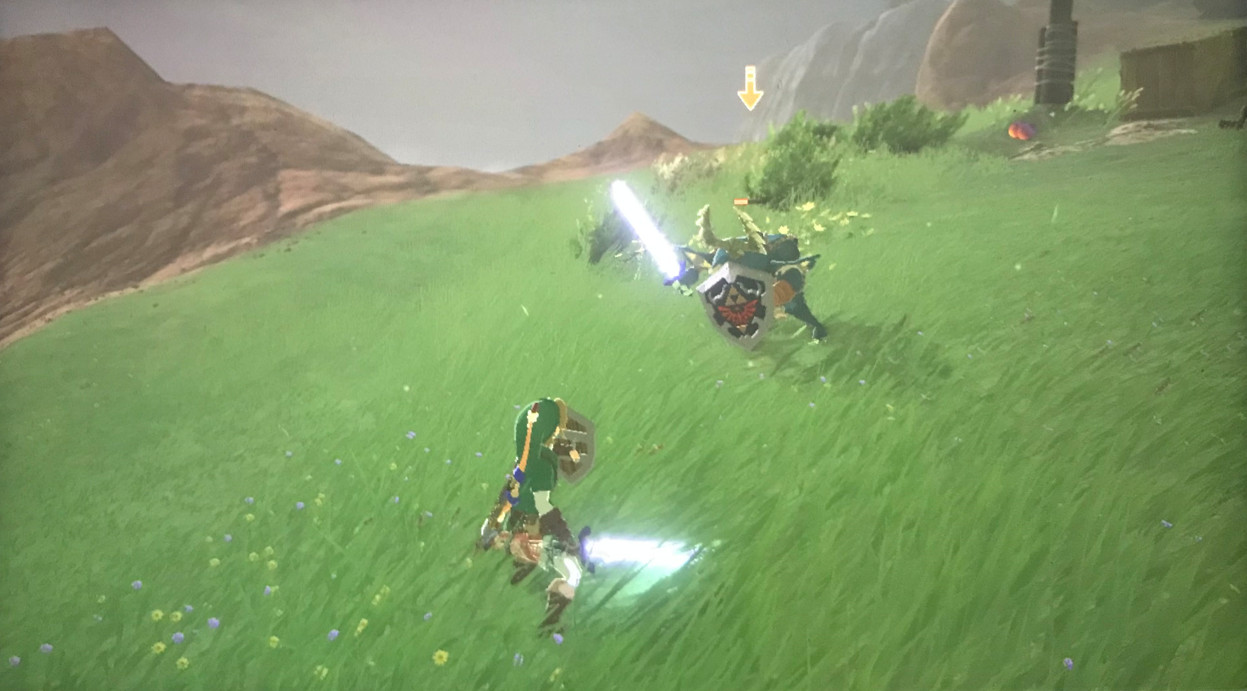 Warrior of Time -- Adult OoT Link Experience Mod for The Legend of ...