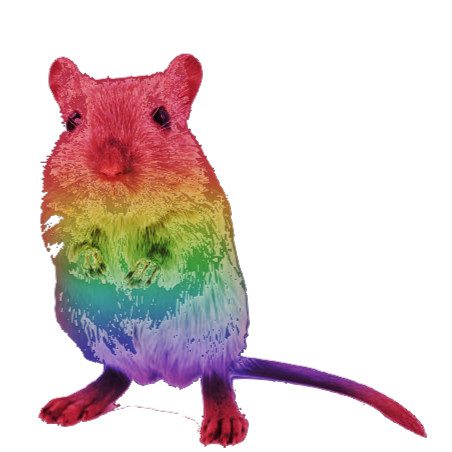 [SENSITIVE CONTENT] FNF: Vs. Rainbow Rat Mod for Friday Night Funkin ...