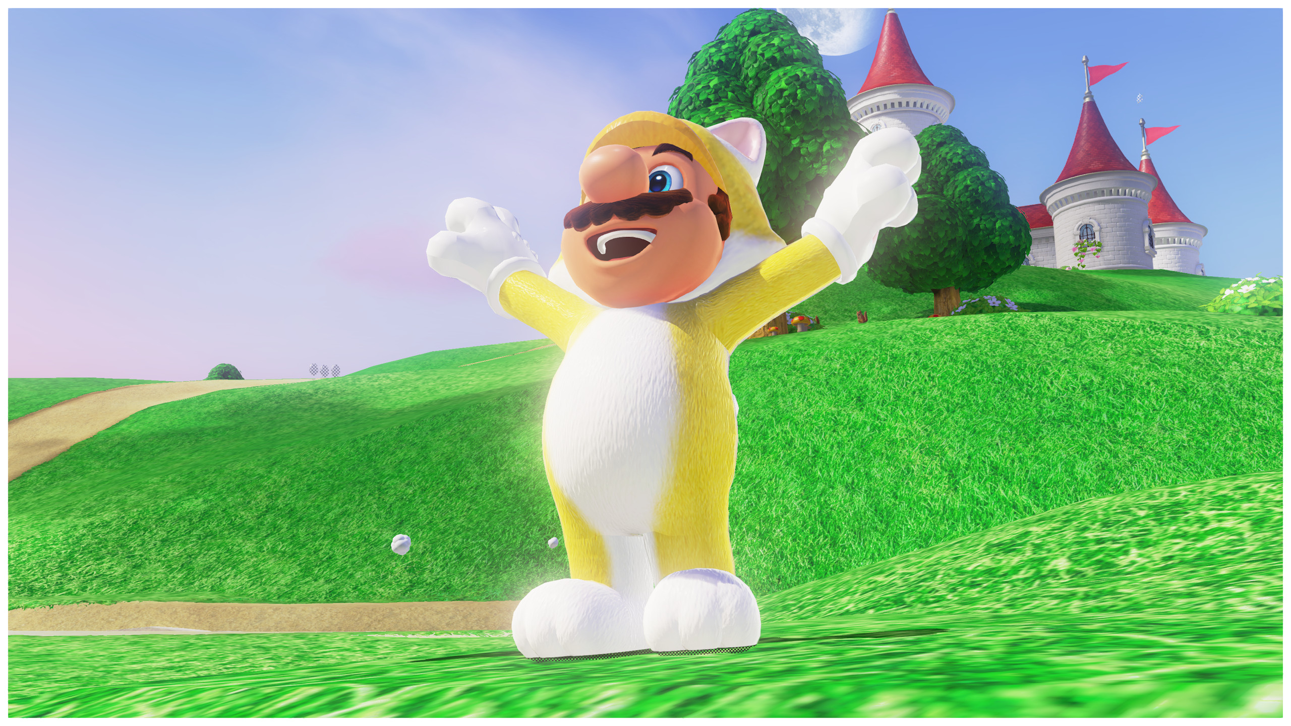 Cat Power-up Suit Mod for Super Mario Odyssey | SMO Mods