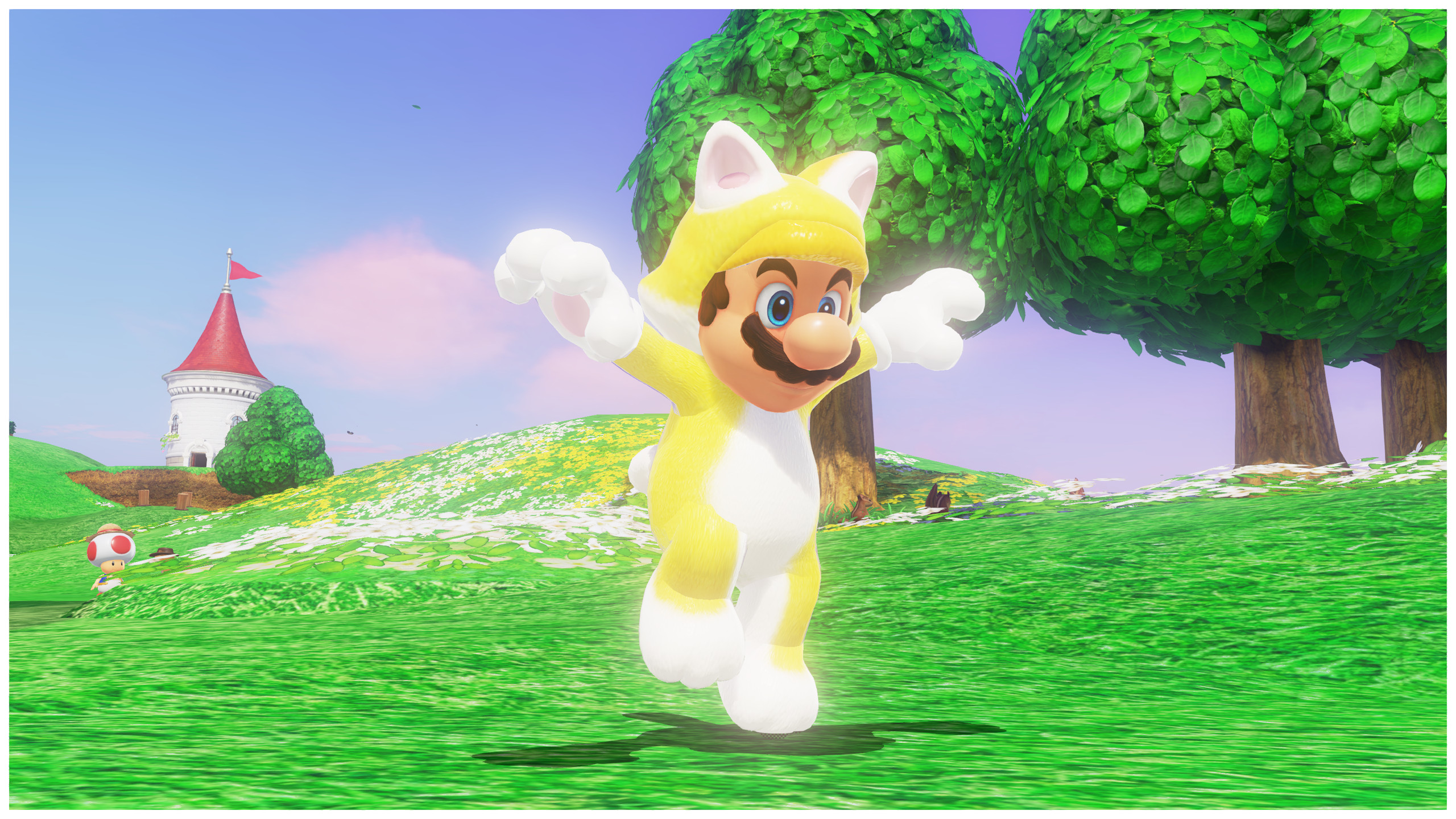 Cat Power-up Suit Mod for Super Mario Odyssey | SMO Mods