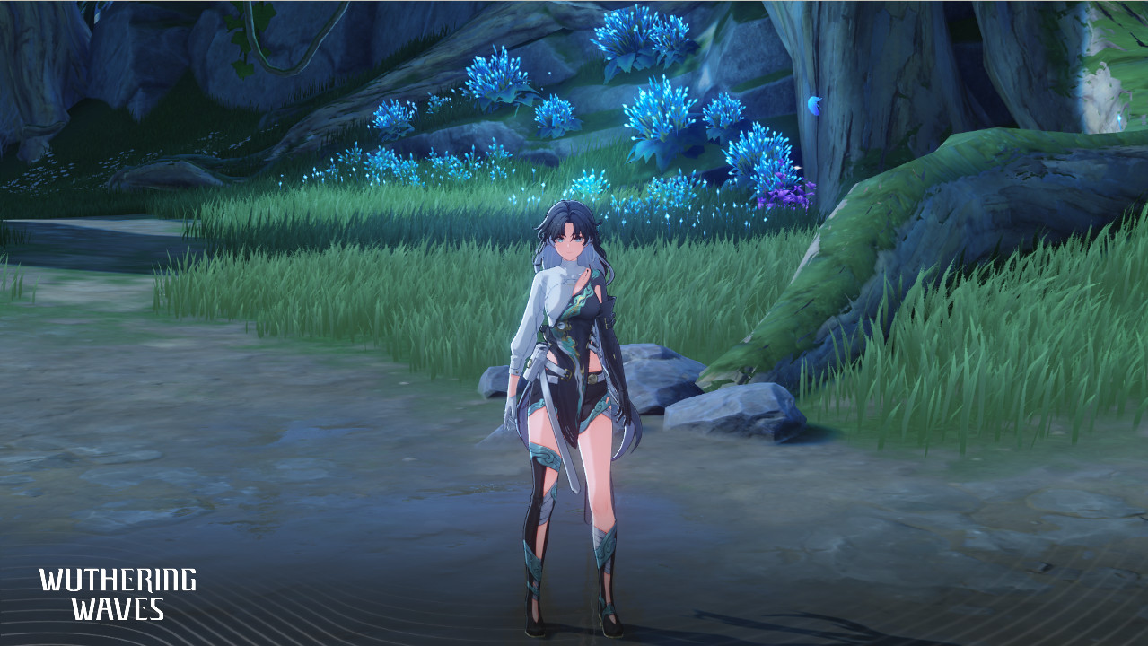Simple Jianxin Mod for Wuthering Waves | WuWa Mods