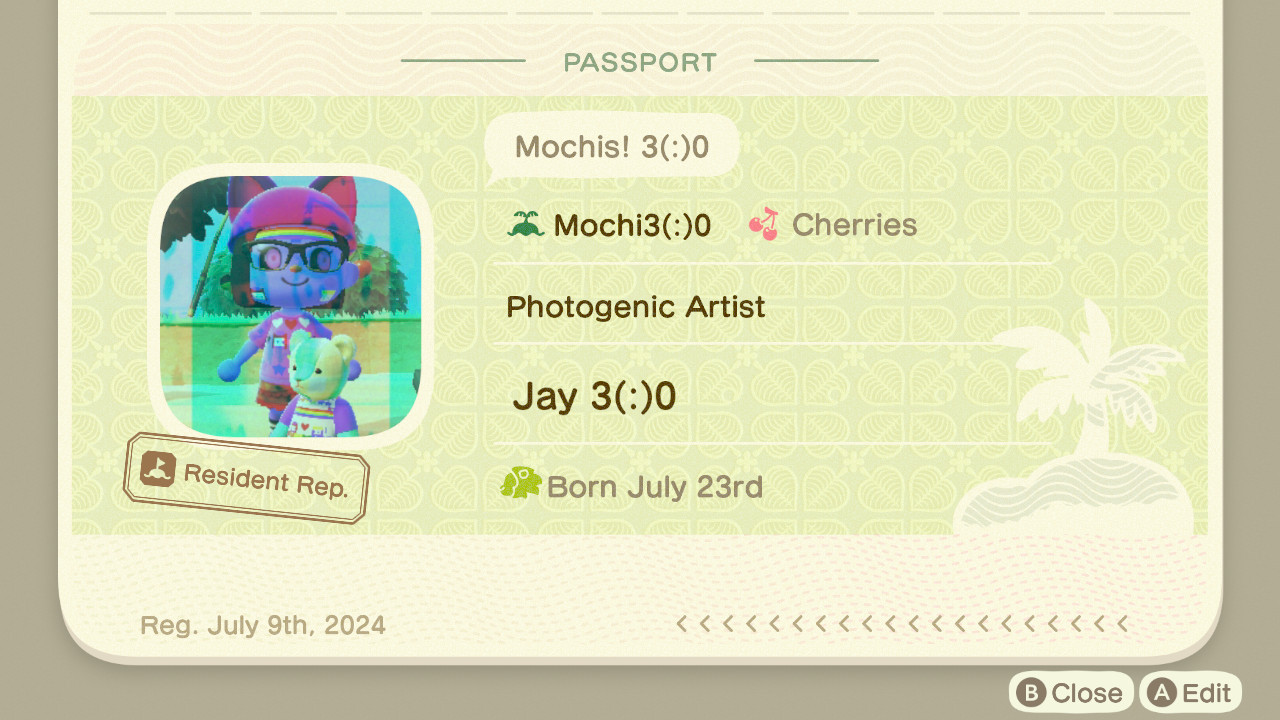Mochi Camera Mod :) Mod for Animal Crossing: New Horizons | ACNH Mods