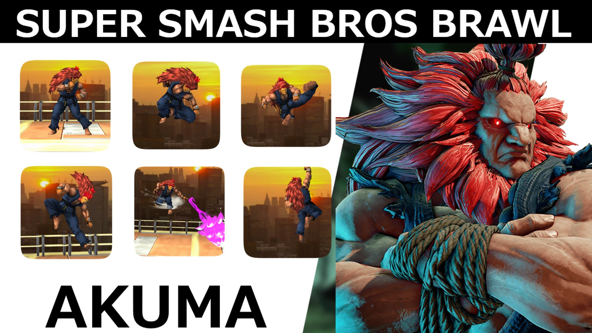 Akuma PSA Pack Mod for Super Smash Bros. Brawl | Brawl Mods