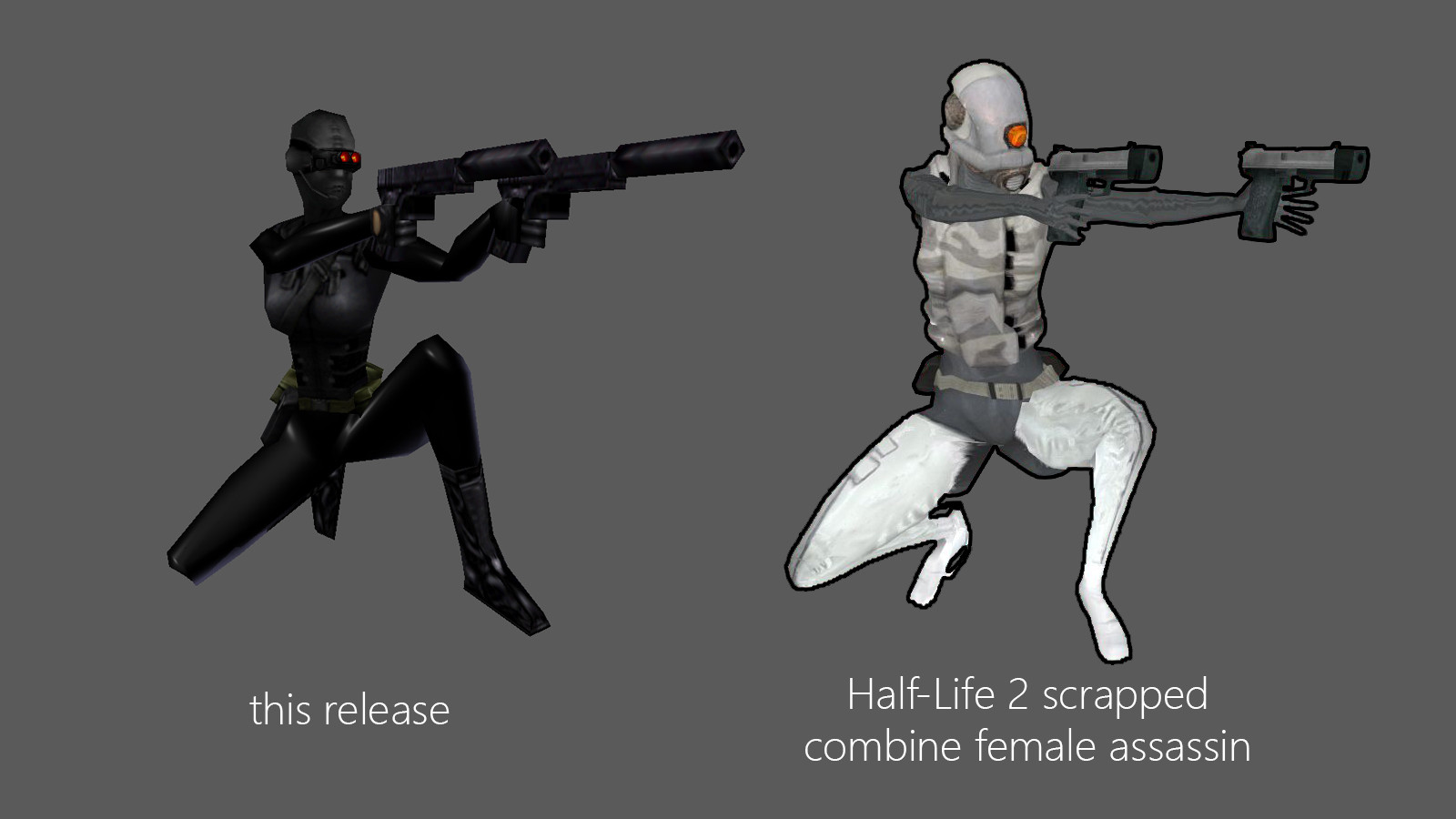 akimbo/dual pistol assassins Mod for Half-Life | HL Mods