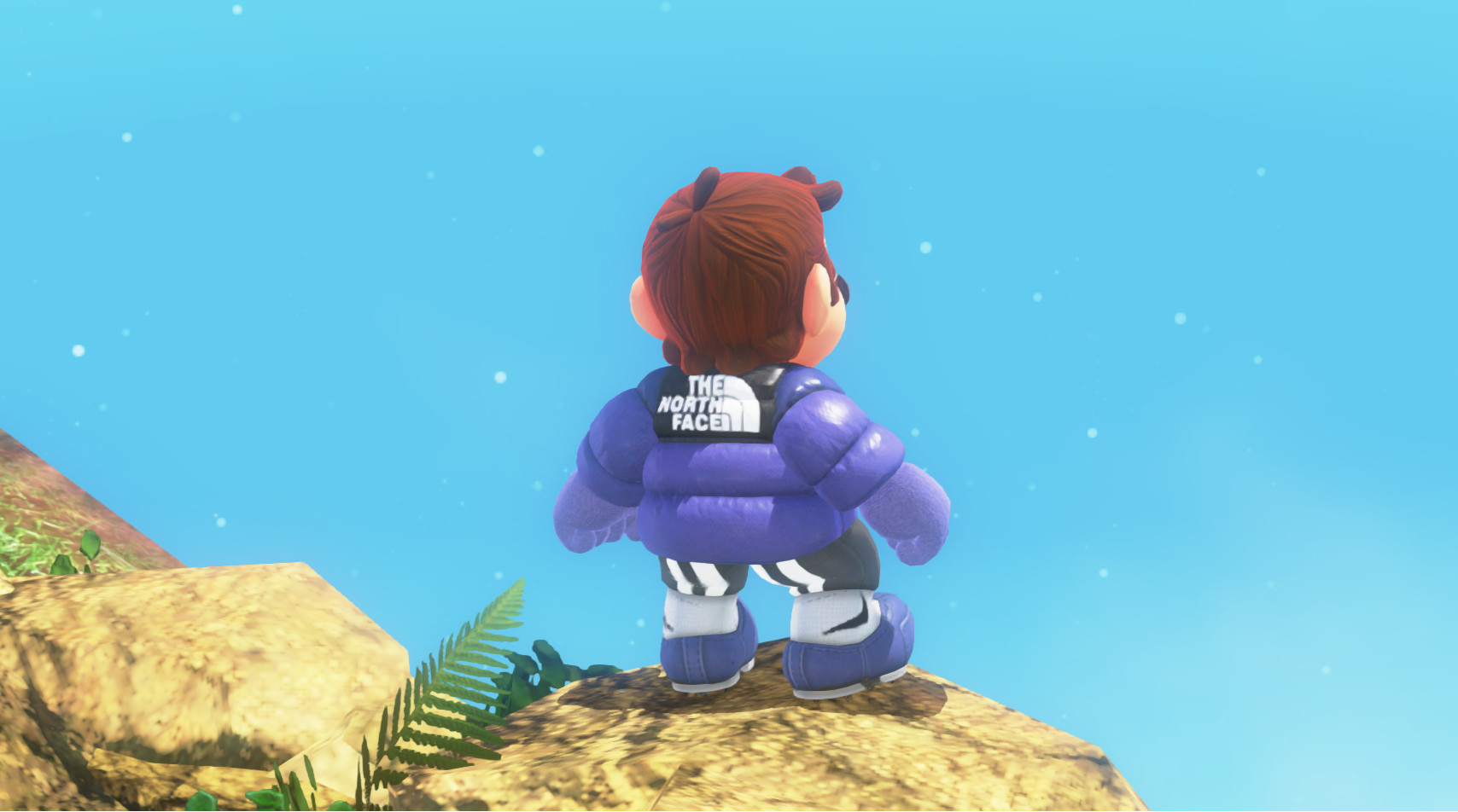 Drip Snow Outfit Mod for Super Mario Odyssey | SMO Mods