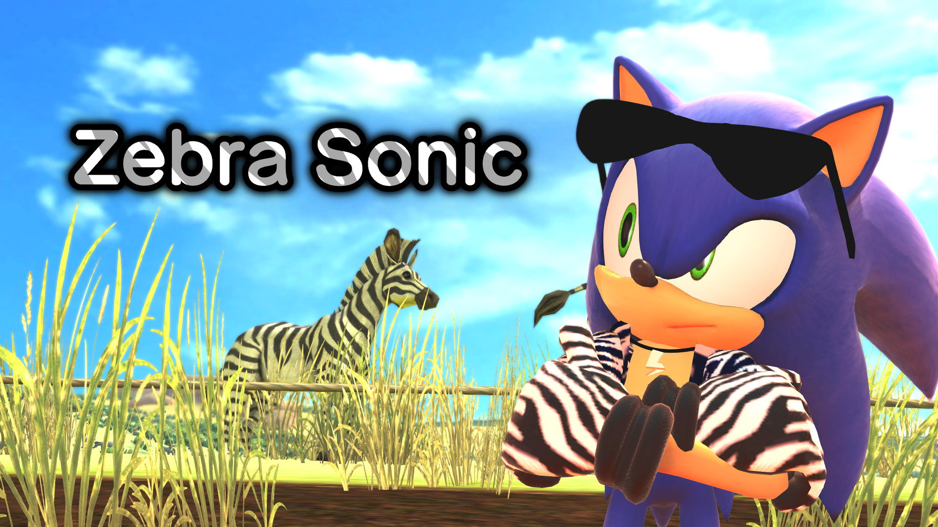 Zebra Outfit Mod for Sonic Generations (2011) | Gens Mods