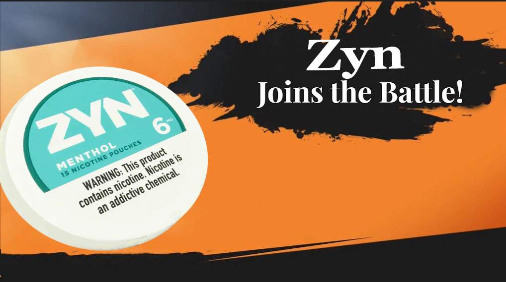 [SENSITIVE CONTENT] Zyn Mod for Super Smash Bros. Ultimate | SSBU Mods