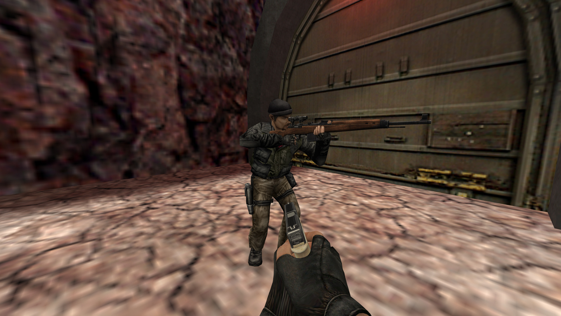 Walther Gewehr 43 with Scope on COD18 Animation Mod for Counter-Strike 1.6 | CS1.6 Mods