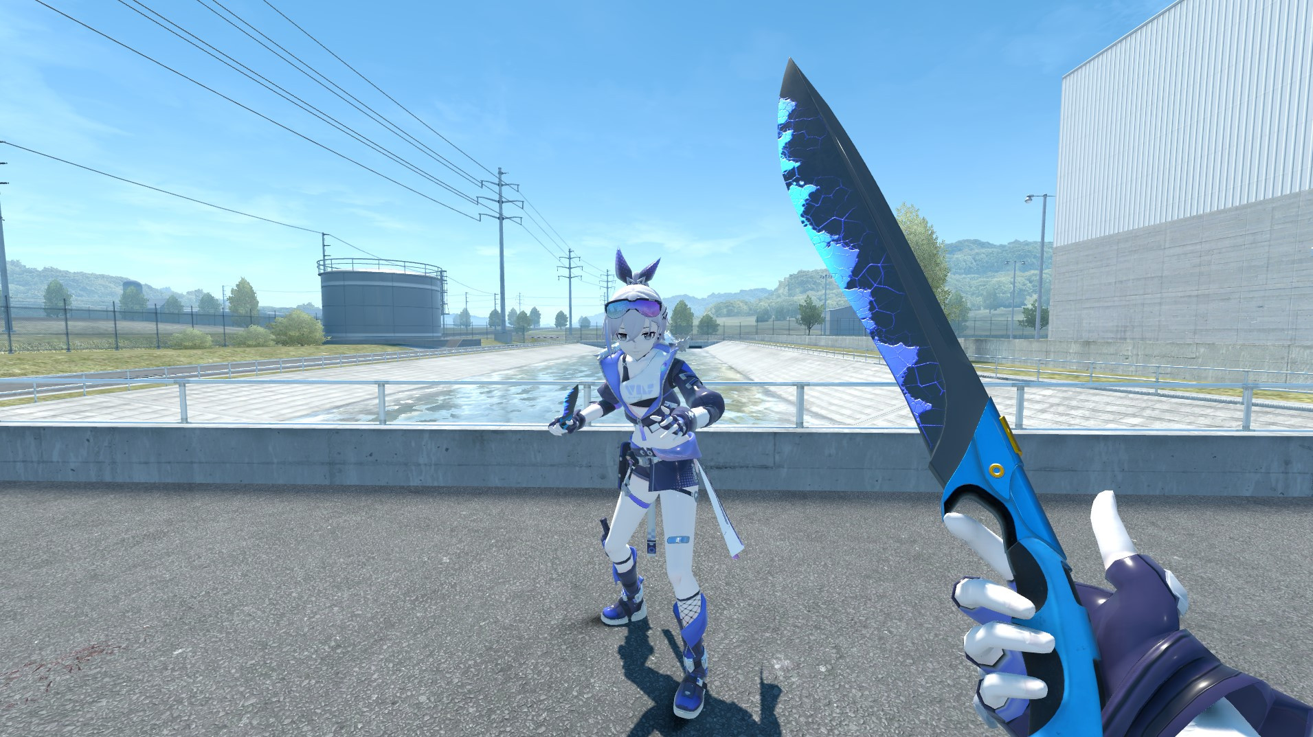 Silver Wolf Player Model Mod for Counter-Strike 2 | CS2 Mods