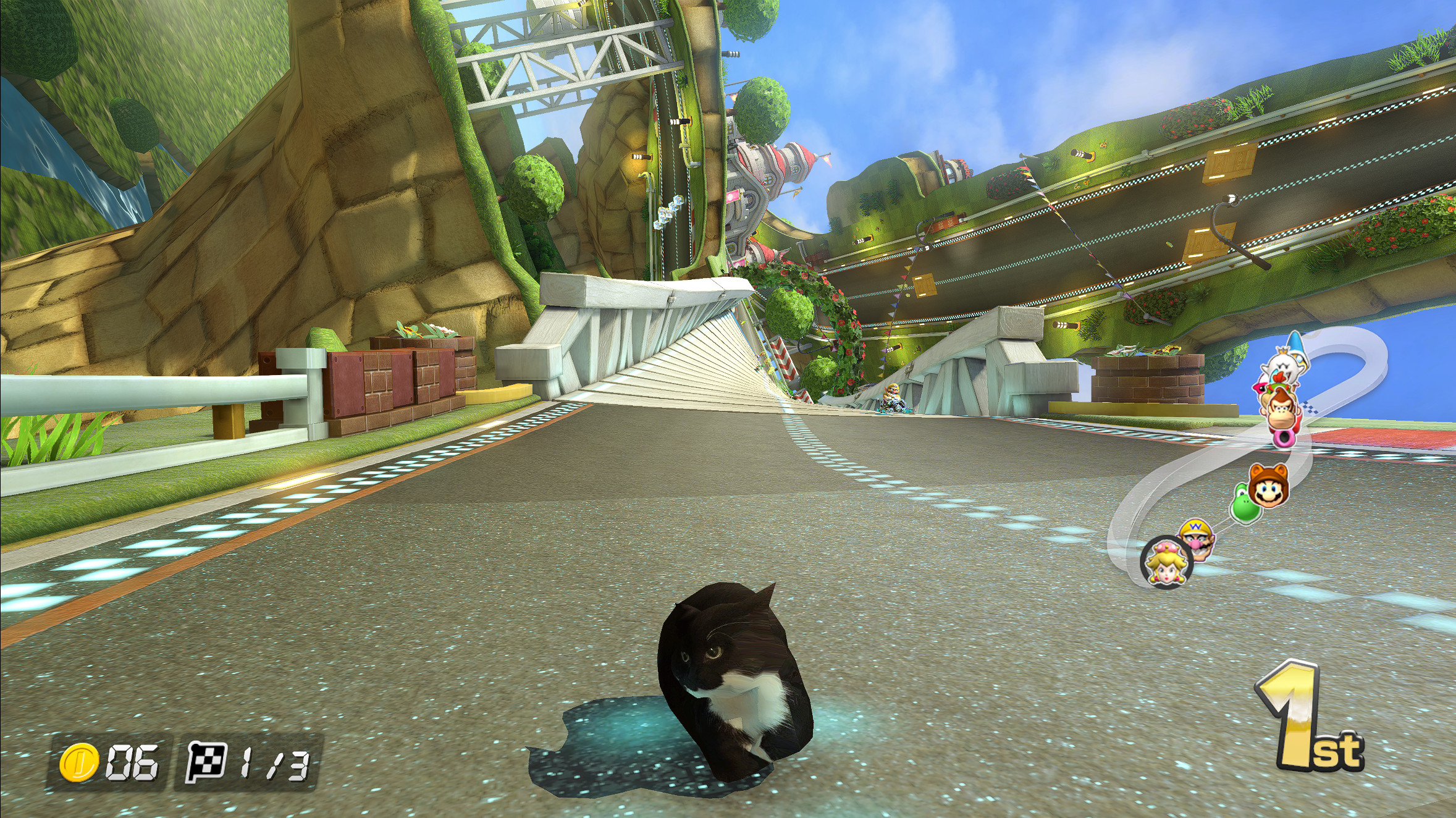 Maxwell the Cat Mod for Mario Kart 8 Deluxe | MK8D Mods