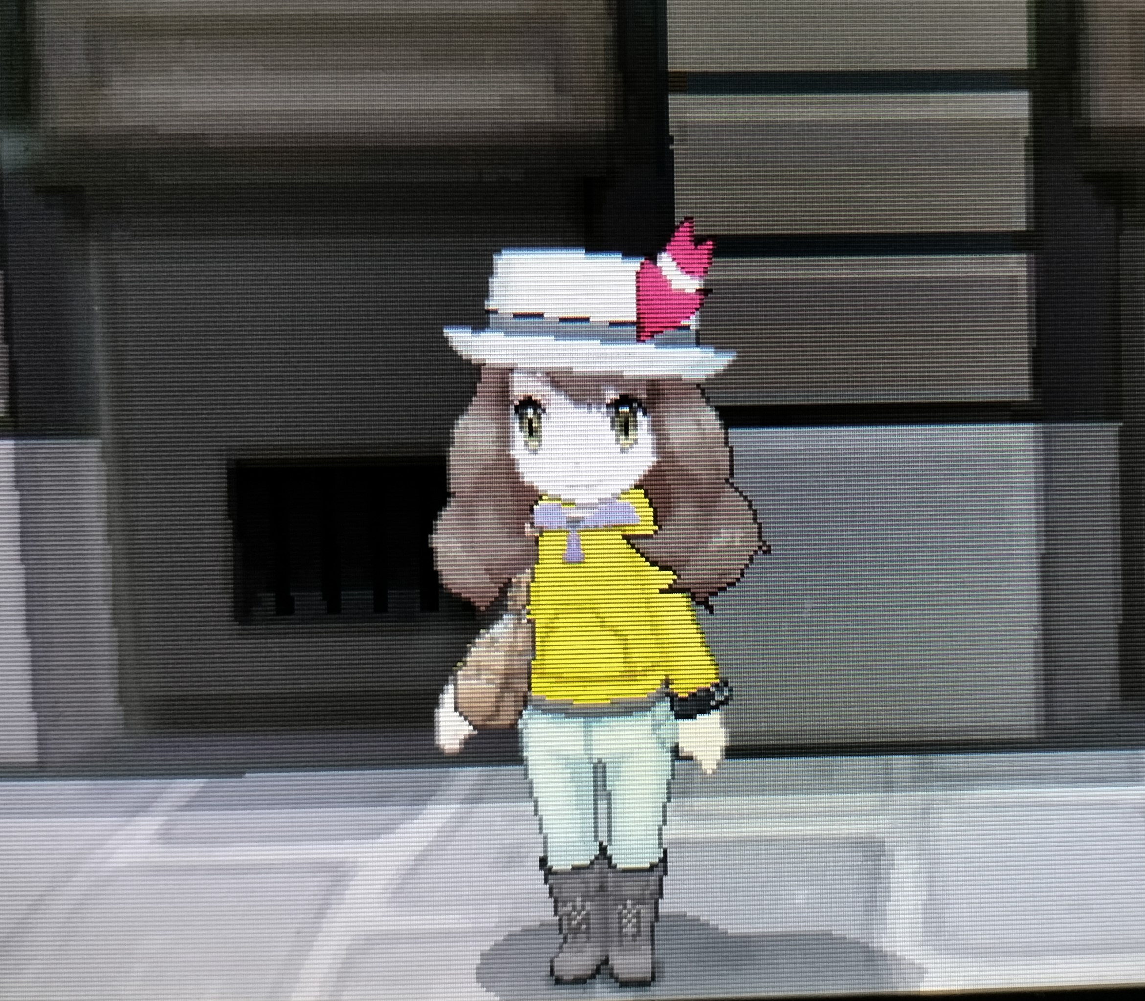Hoodie Mod Mod for Pokemon X and Y | PKMNXY Mods