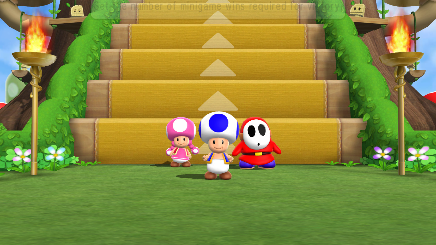 Toadette over Toad Mod for Mario Party 9 | MP9 Mods