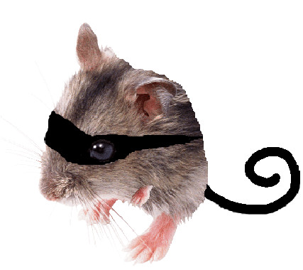 Little Mouser Audience! Mod for Paper Mario: The Thousand Year Door ...