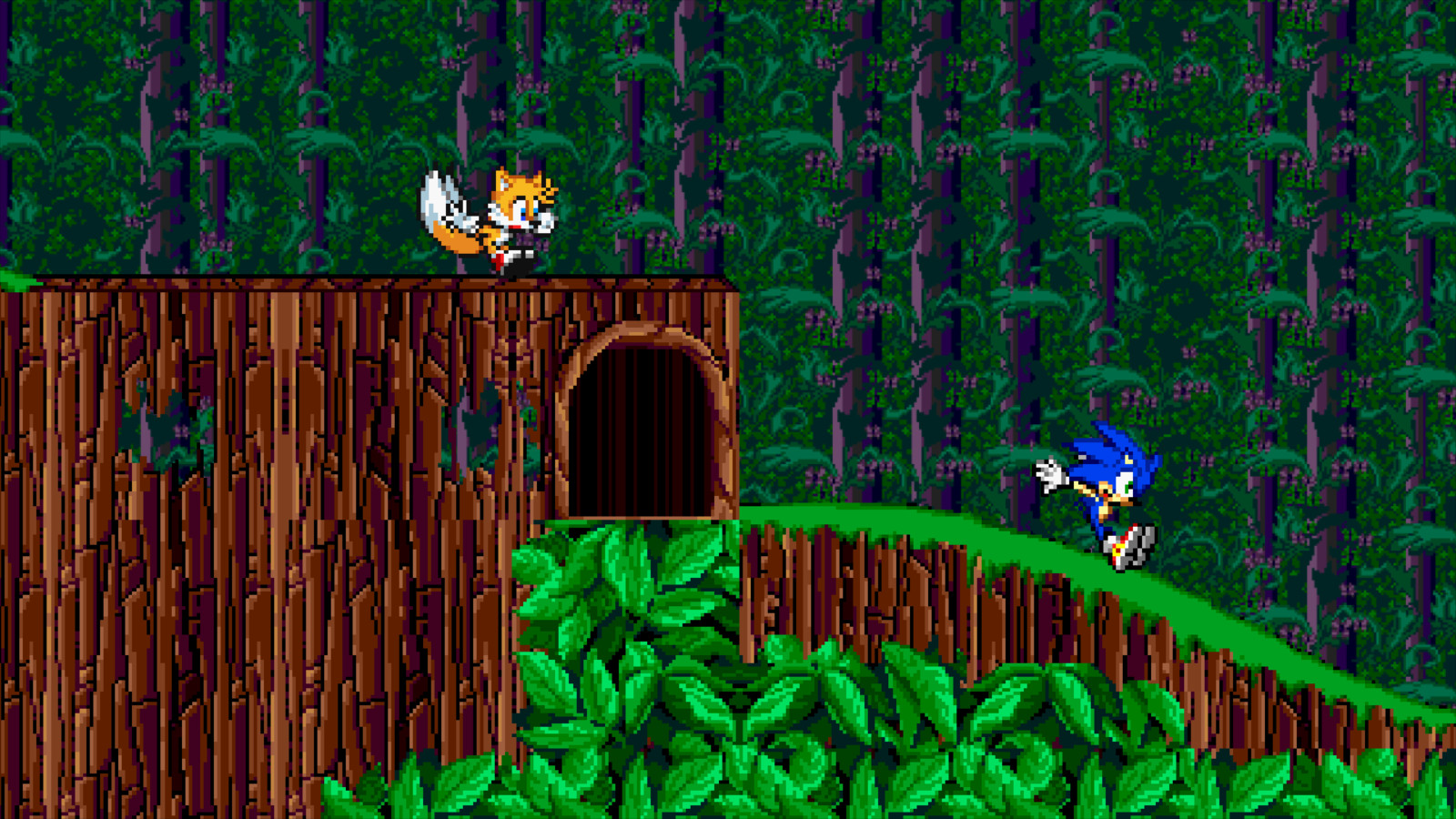 Sonic 2 Prototype - Wood Zone (CMC+) Mod for Super Smash Bros. Crusade ...