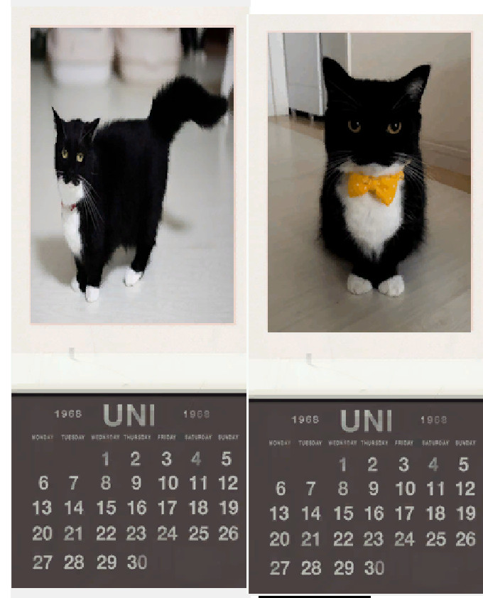 uni the cat replaces calendar Mod for Team Fortress 2 | TF2 Mods