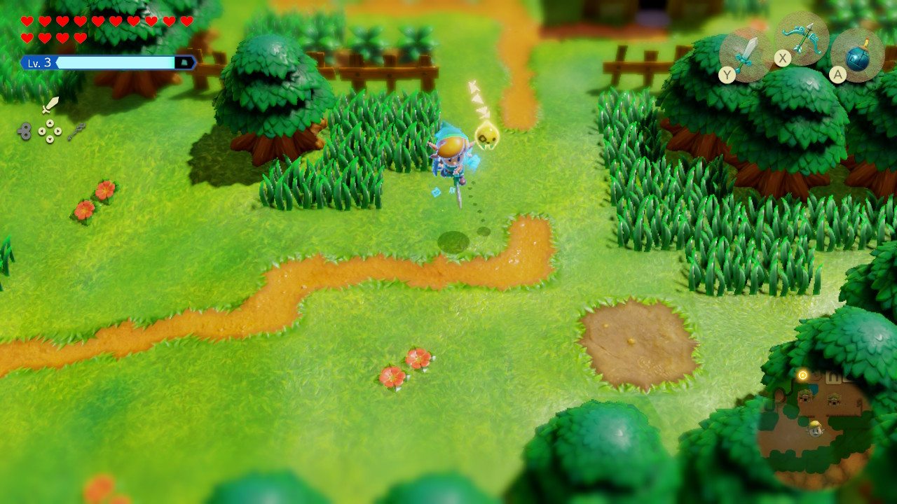 play as link in eow echoes of courage Mod for The Legend of Zelda ...