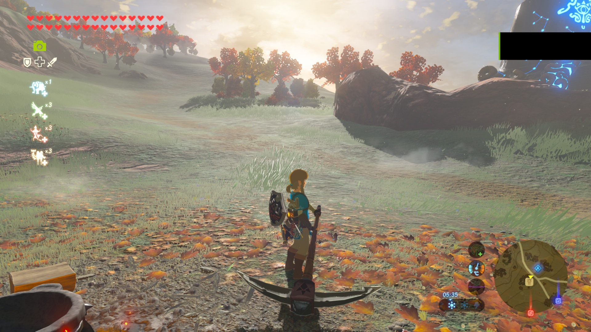 NPC Weapons Mod for The Legend of Zelda: Breath of the Wild (WiiU ...