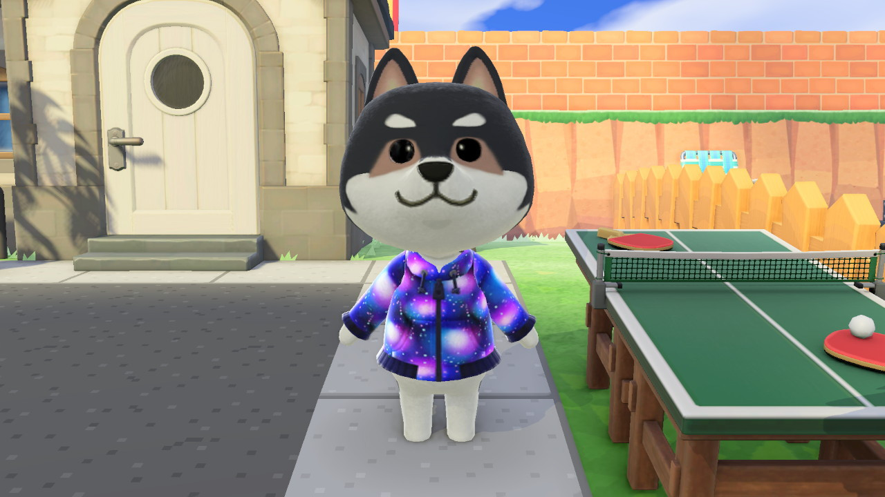 Riki the Shiba Inu Mod for Animal Crossing: New Horizons | ACNH Mods