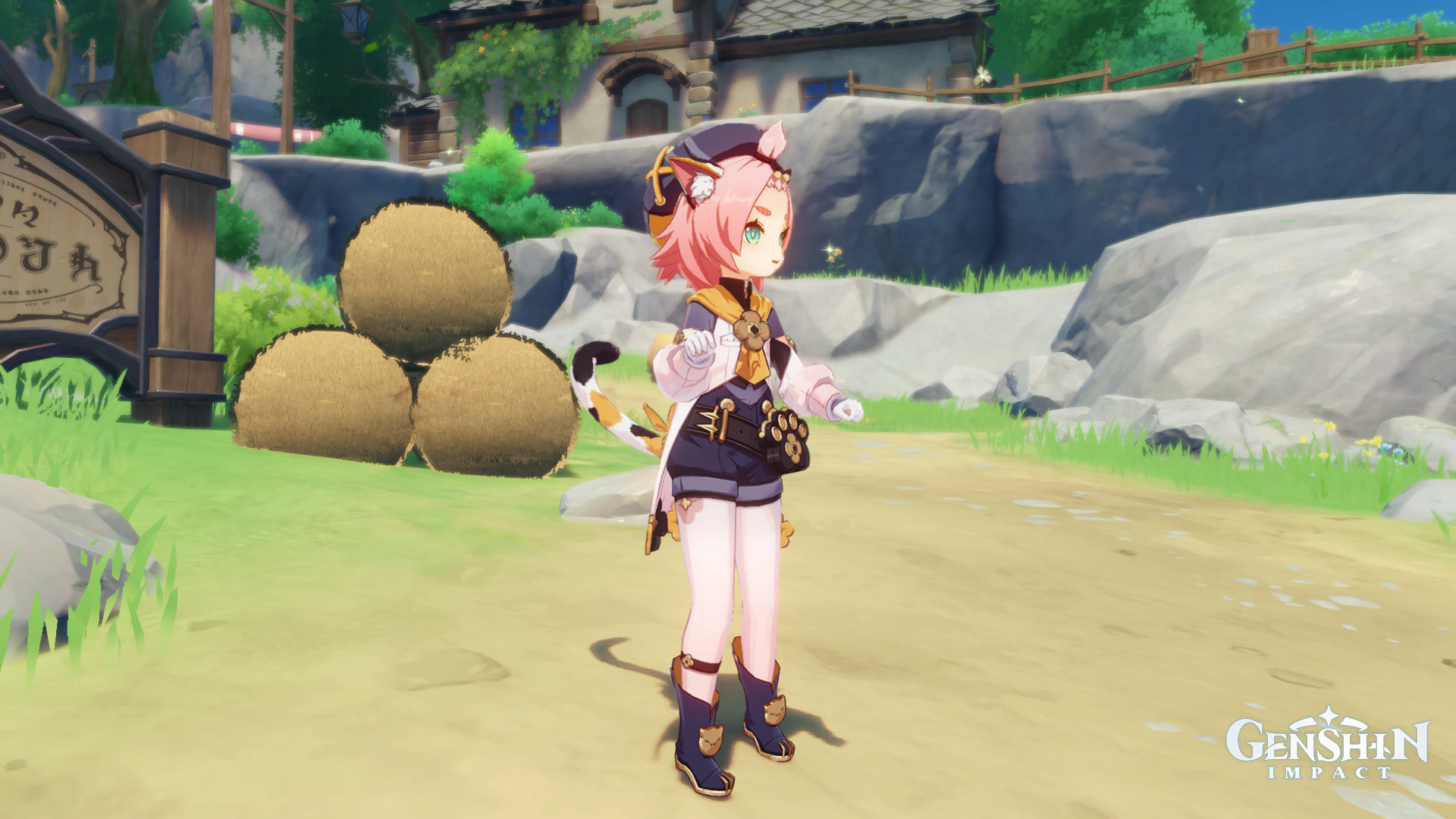 Covered Diona Mod for Genshin Impact | GI Mods