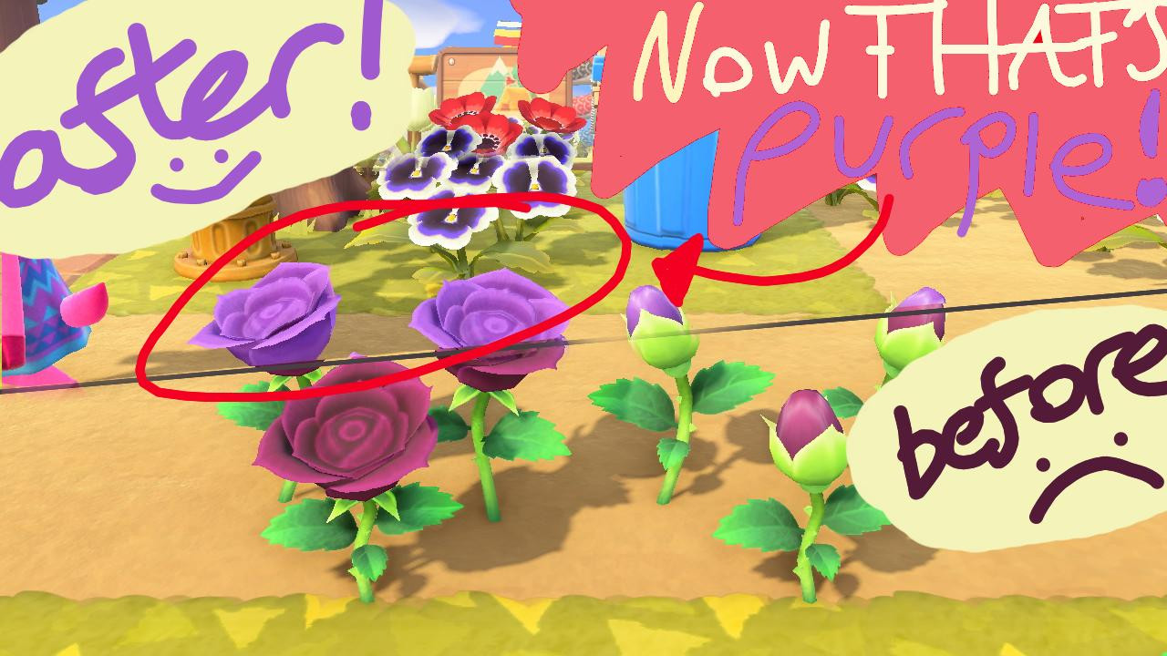 Classic Purple Roses Mod for Animal Crossing: New Horizons | ACNH Mods