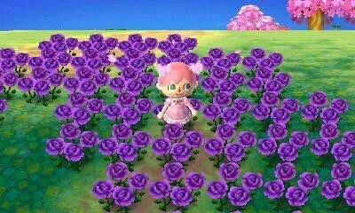 Classic Purple Roses Mod for Animal Crossing: New Horizons | ACNH Mods