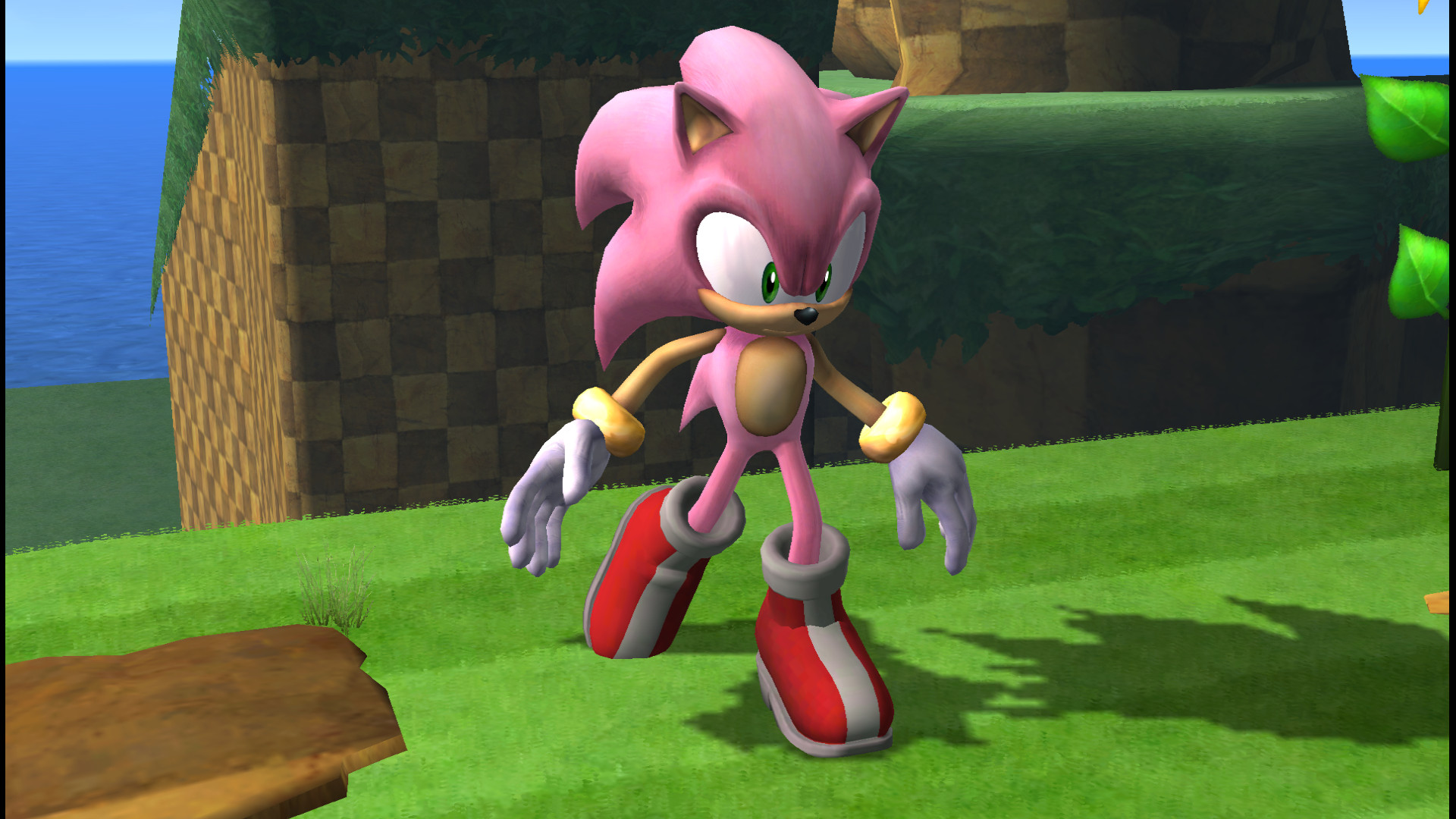 Amy Sonic Semi-Alt (P+ 3.05) Mod for Super Smash Bros. Brawl | Brawl Mods