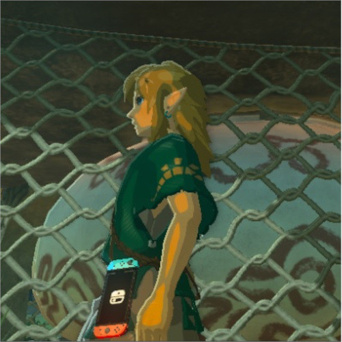 Switch Purah Pad Mod for The Legend of Zelda: Tears of the Kingdom ...