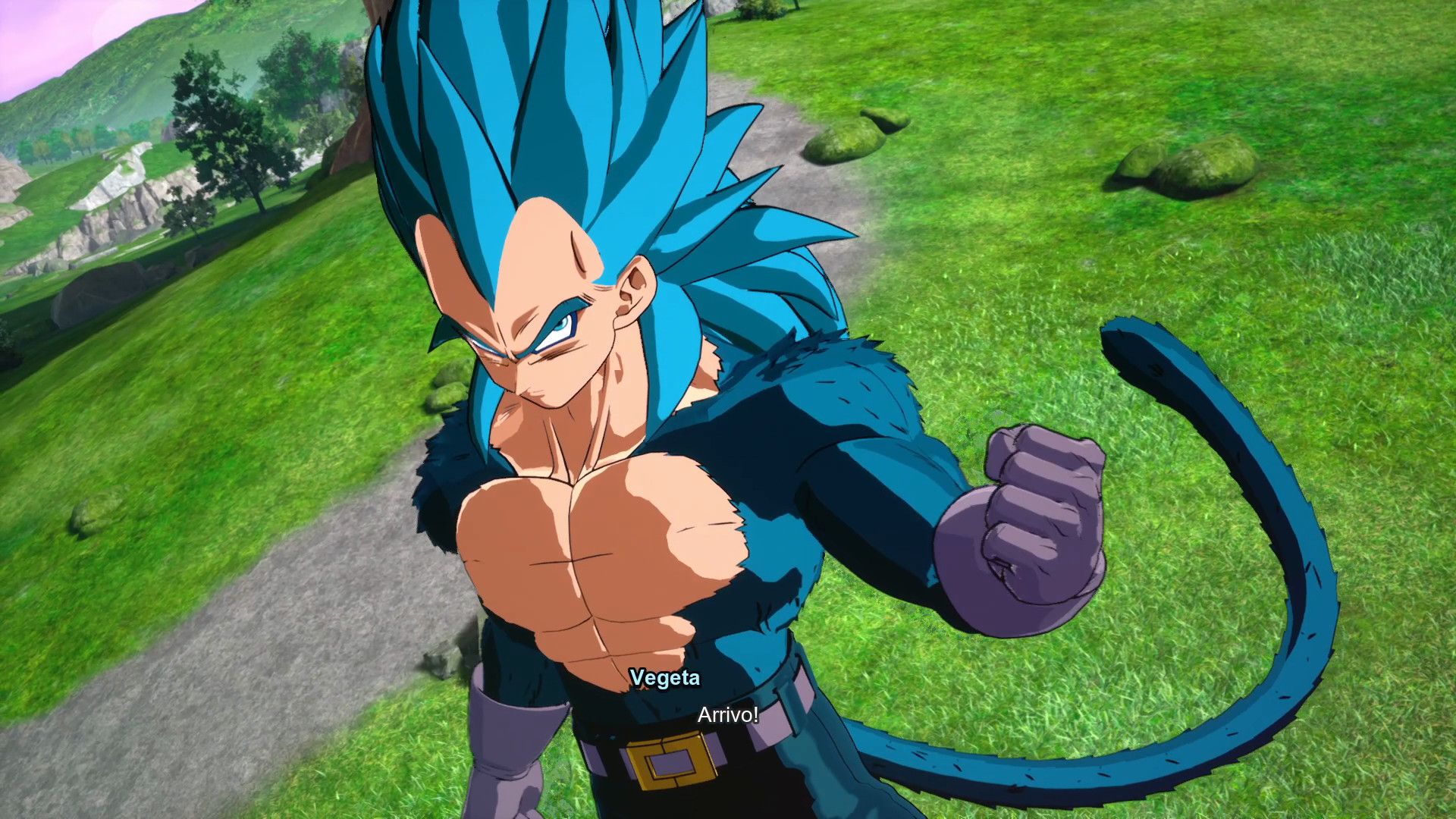 Vegeta Ssj Blue