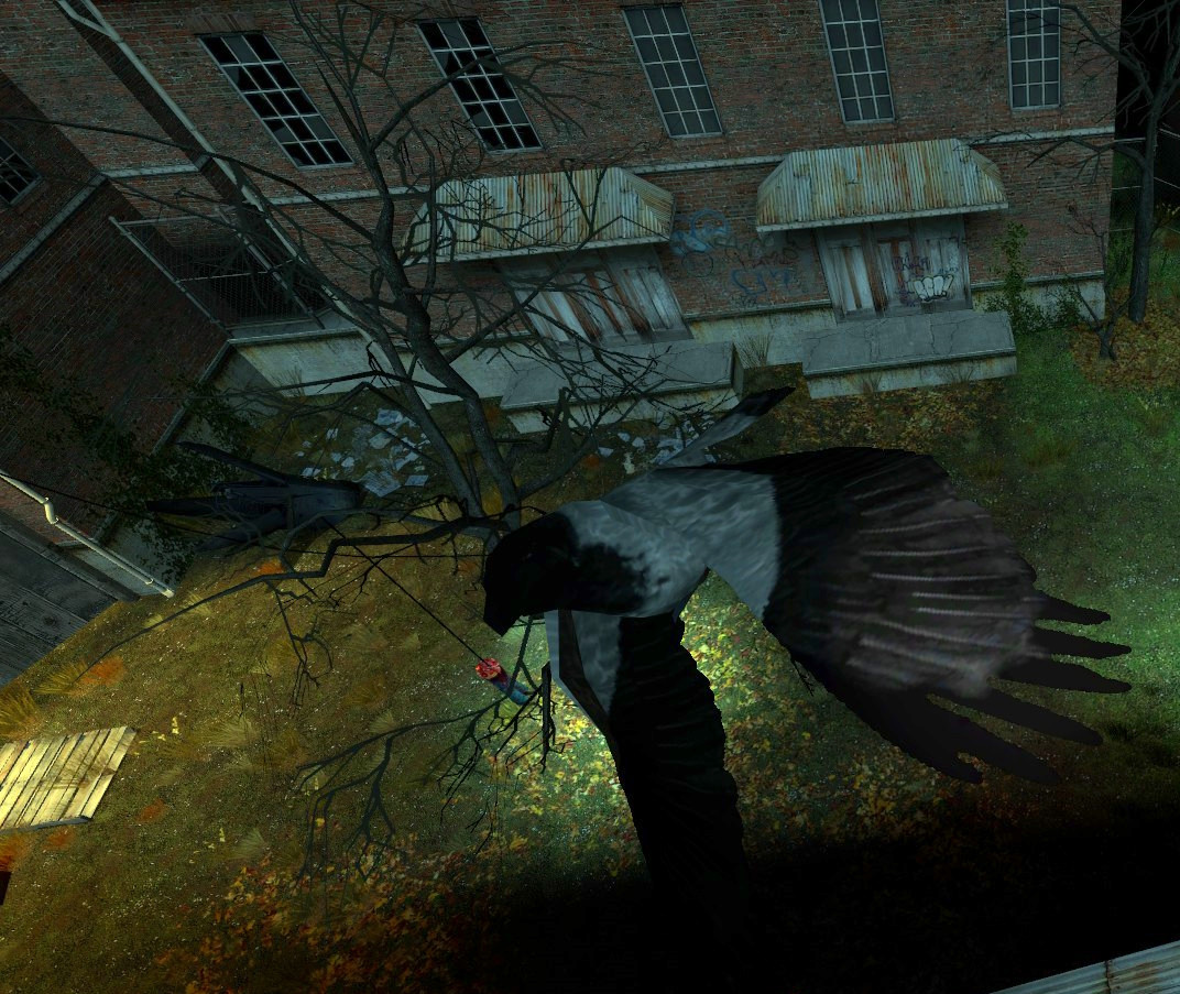 Location-Appropriate Crow Mod for Half-Life 2 | HL2 Mods