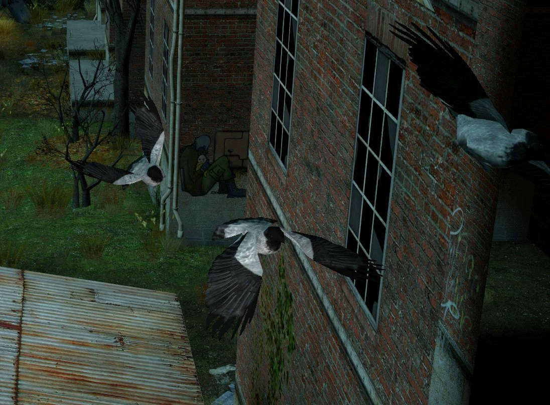 Location-Appropriate Crow Mod for Half-Life 2 | HL2 Mods