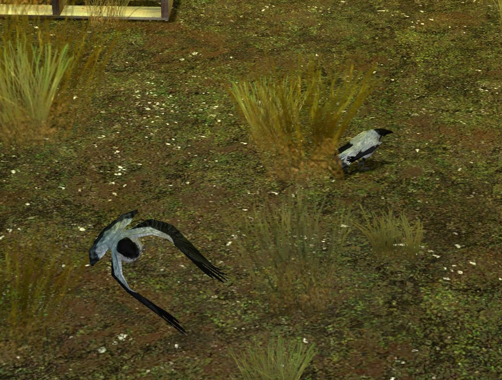 Location-Appropriate Crow Mod for Half-Life 2 | HL2 Mods