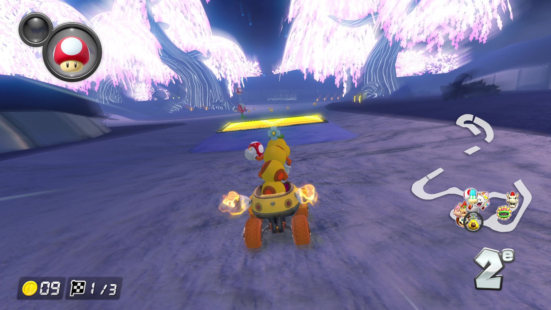 Aqua Pura Woods - A MK8DX Custom Nitro Track ! Mod for Mario Kart 8 ...