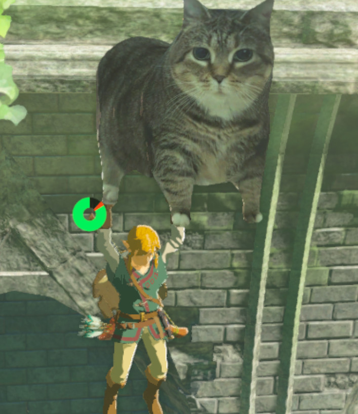 Cat glider Mod for The Legend of Zelda: Breath of the Wild (WiiU ...