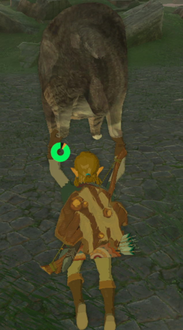 Cat glider Mod for The Legend of Zelda: Breath of the Wild (WiiU ...