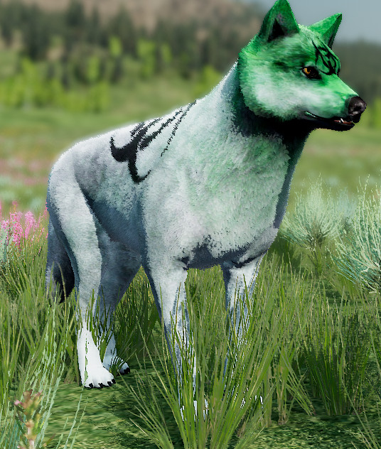 Simple Coat Customizations Mod for WolfQuest: Anniversary Edition | WQ:AE Mods