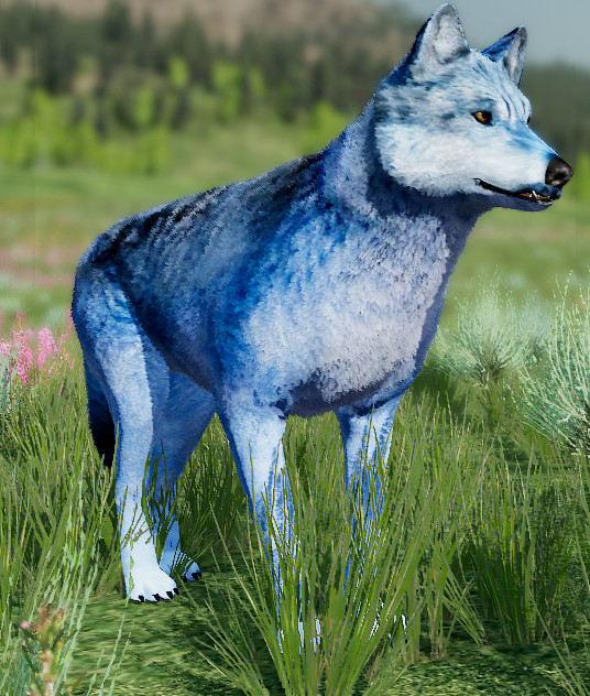 Simple Coat Customizations Mod for WolfQuest: Anniversary Edition | WQ ...