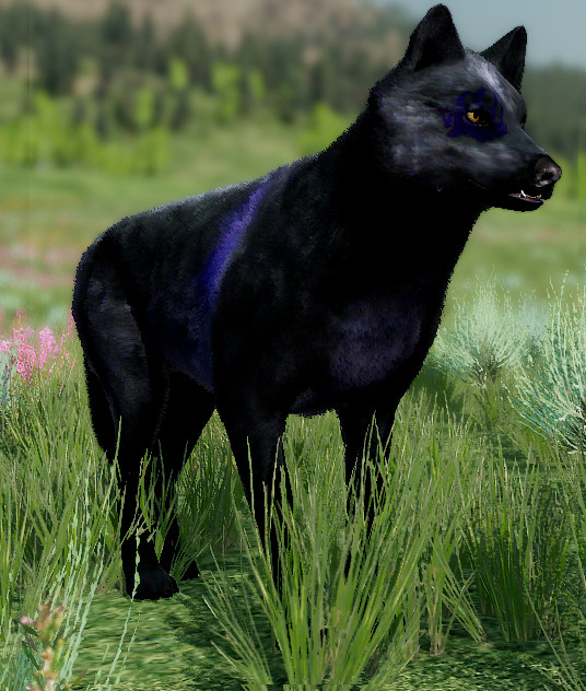 Simple Coat Customizations Mod for WolfQuest: Anniversary Edition | WQ ...